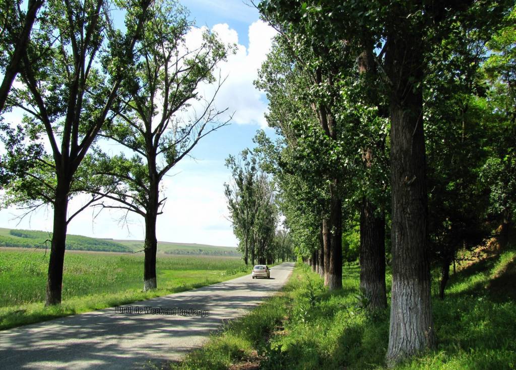Cele mai frumoase drumuri mai puţin cunoscute din România ...