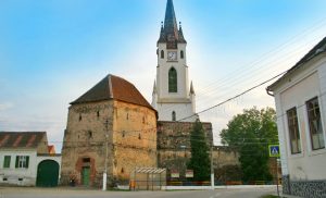 Cetatea Greavilor din comuna Gârbova, județul Alba - Locuri Din Romania ...