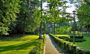 Parcul Dendrologic Trivale din orașul Pitești, județul Argeș - Locuri ...